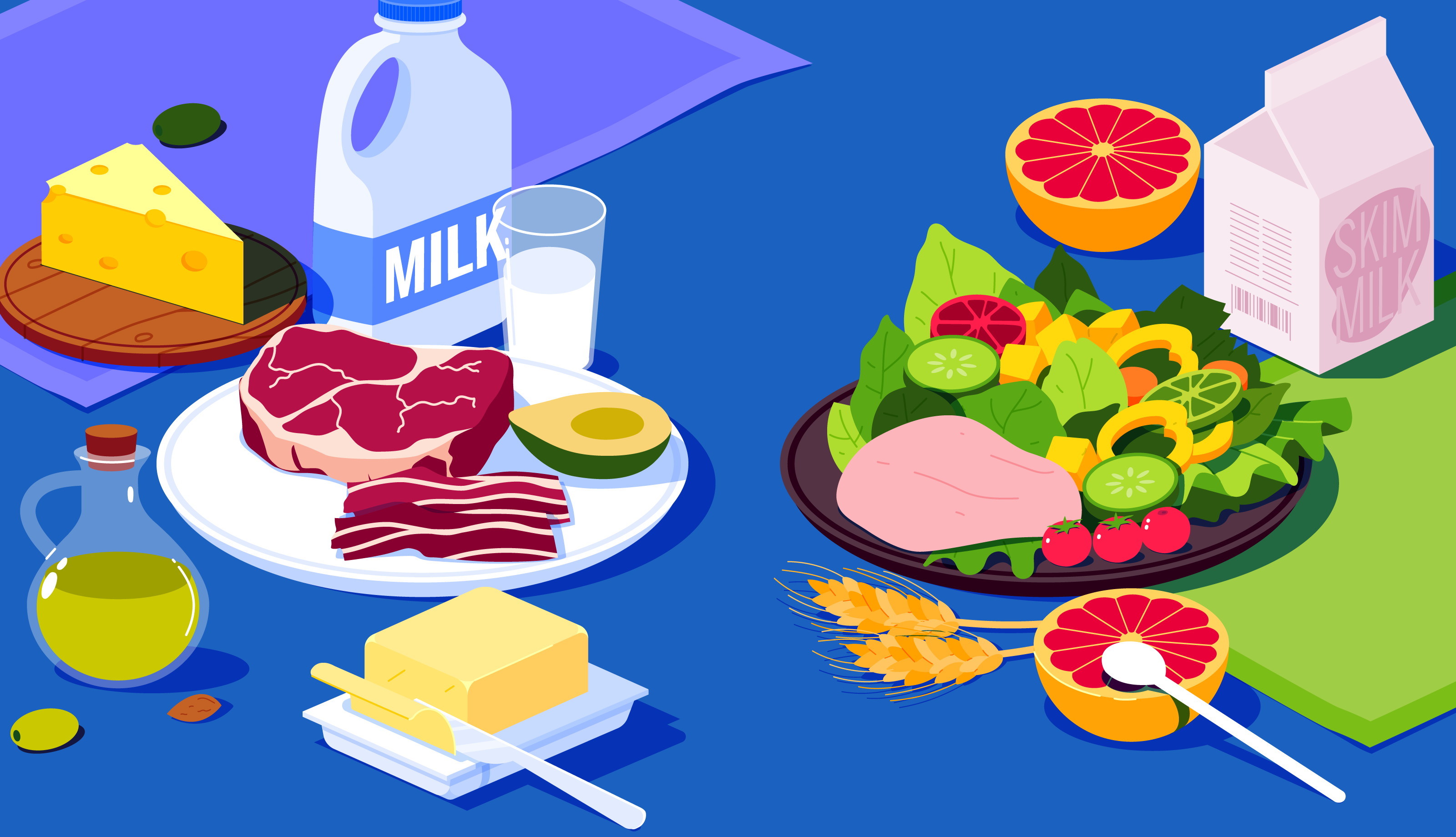 What Is A Good Low Fat Diet For Dogs Cats Benefits And Consideratio what-is-a-good-low-fat-diet-for-dogs-cats-benefits-and-consideratio